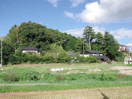 定番の神様がいない！！